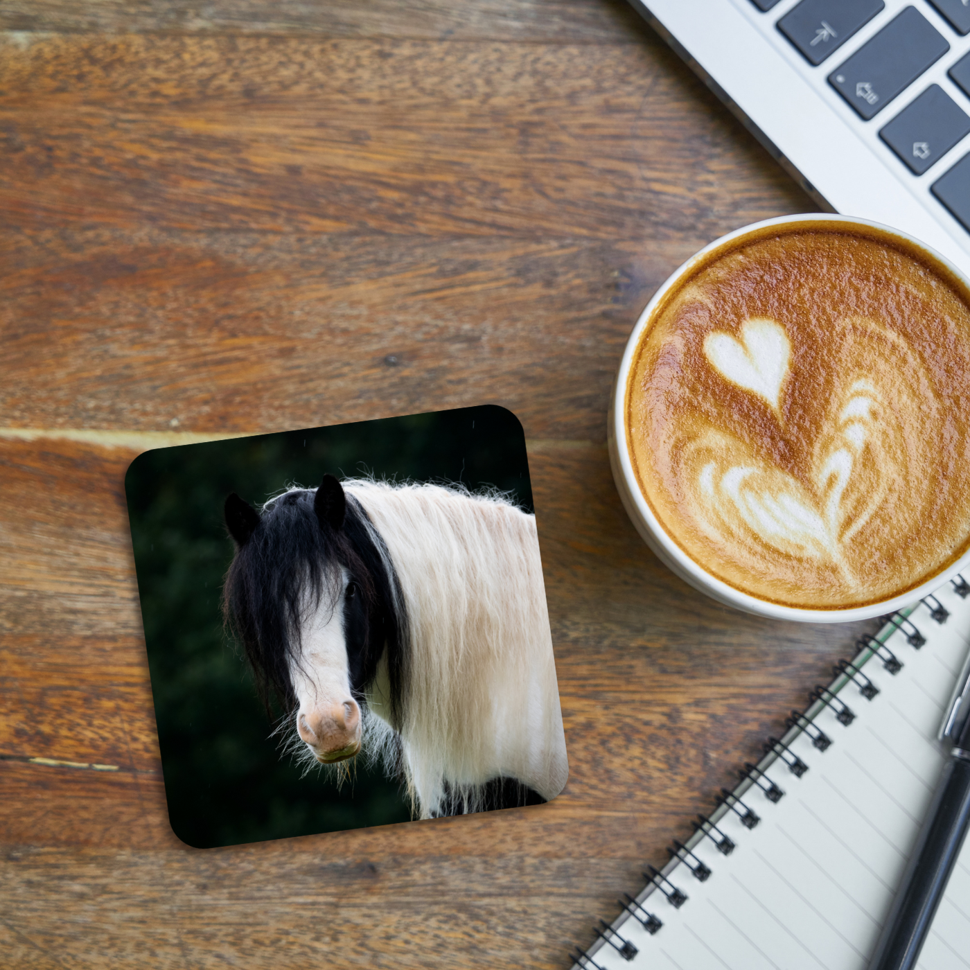 Harry the Pony Coaster – Goodheart Animal Sanctuaries